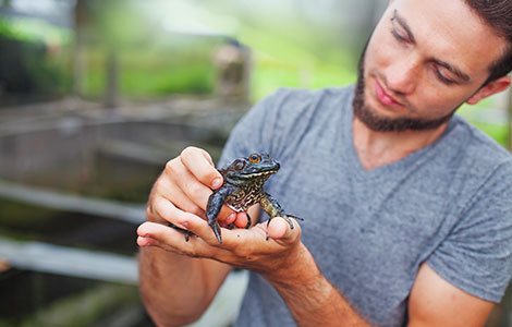 Animateur pédagogique au zoo : guide du métier