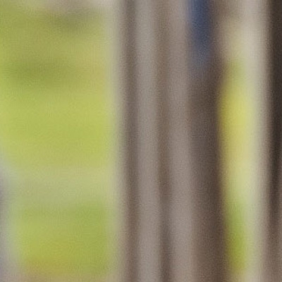 Travailler avec les animaux : les 10 qualités requises